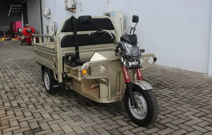 6 Motor Listrik Roda 3 Angkut Barang Paling Tangguh, Muatan Hingga 2 ...